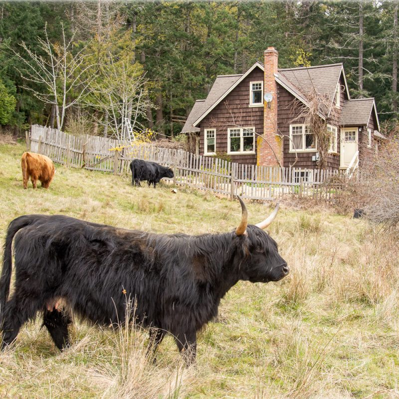 Salt Spring Island Accommodation - Ruckle Heritage Farm