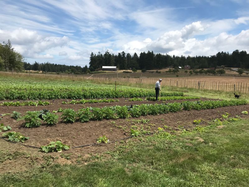 About Ruckle Heritage Farm - Ruckle Heritage Farm